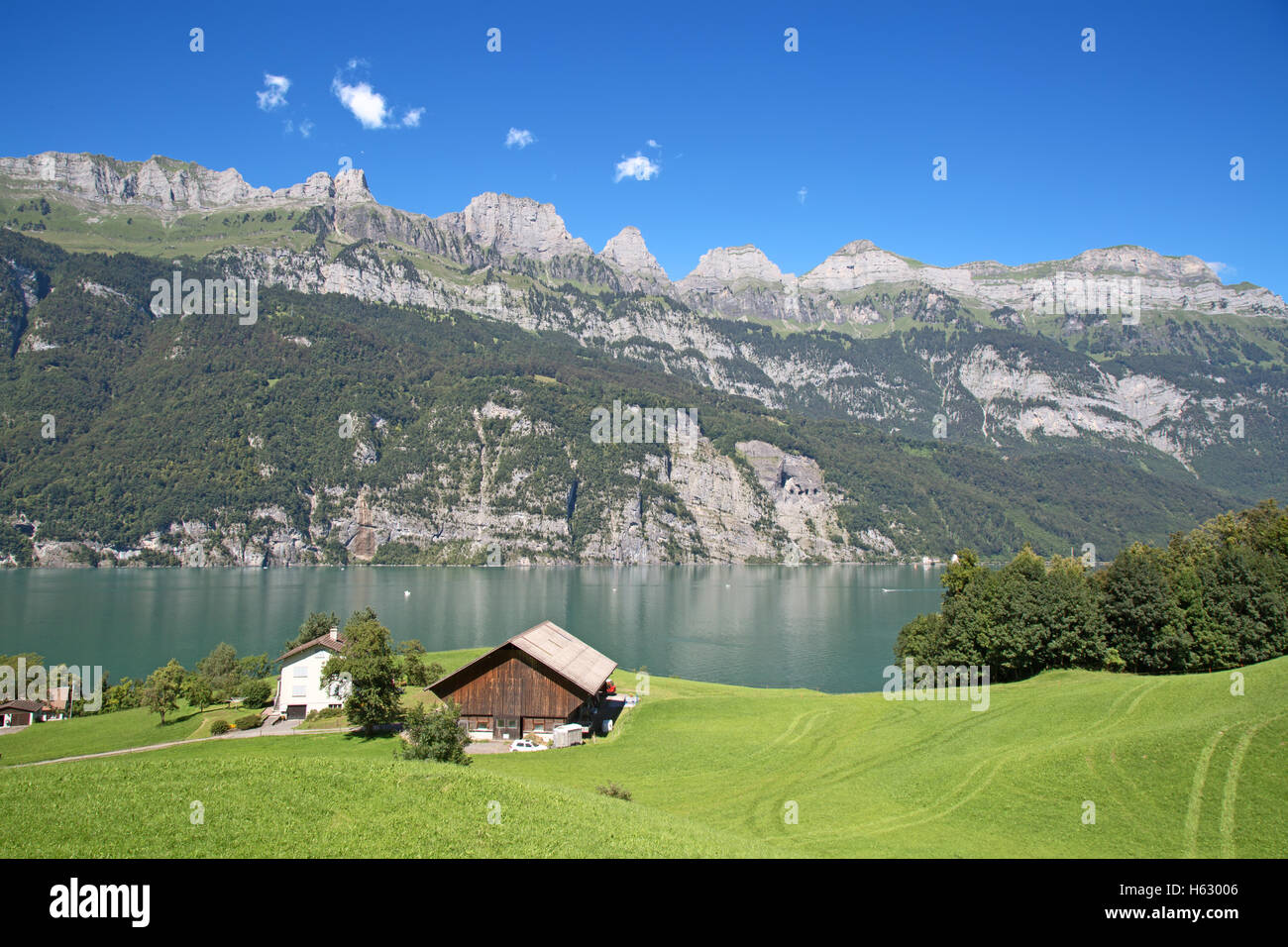 Summer landscape in the Walensee region (Churfirsten mountain range in ...
