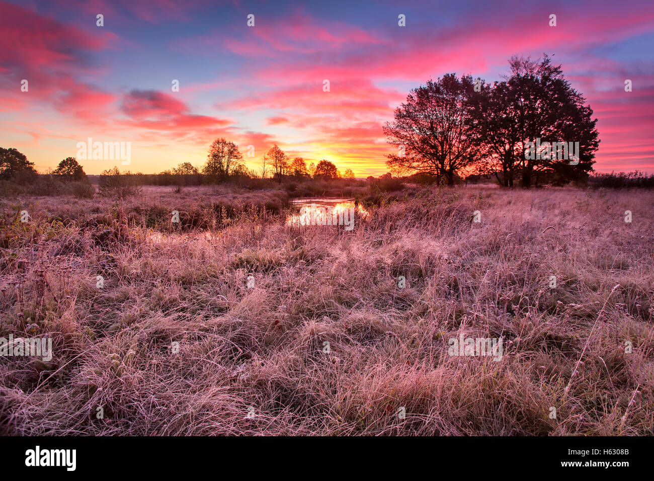 Colorful autumn dawn. Little river in the meadow, Belarus Stock Photo ...