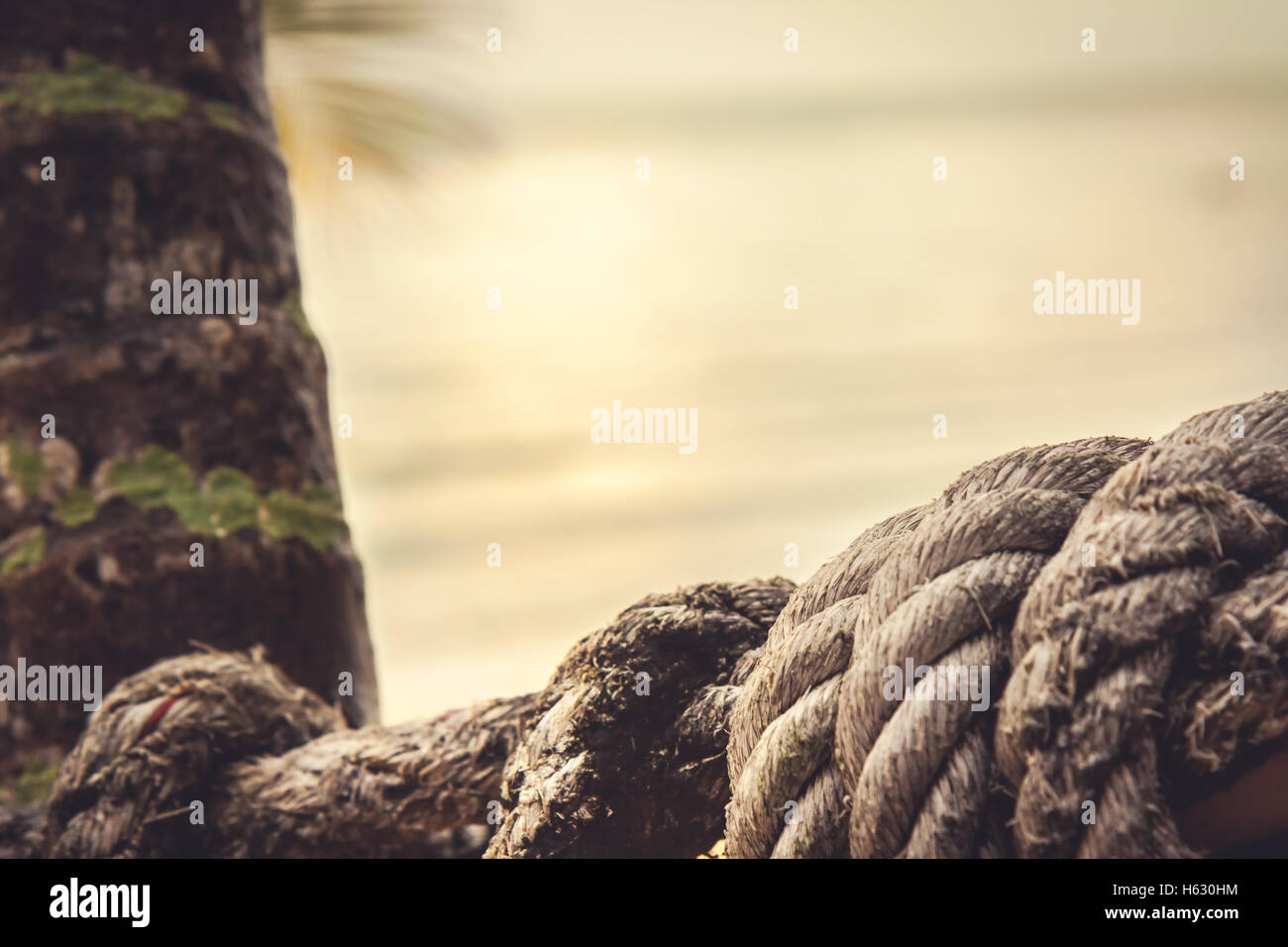 old marine rope on blurred background of the sunset sky on shore of a ...