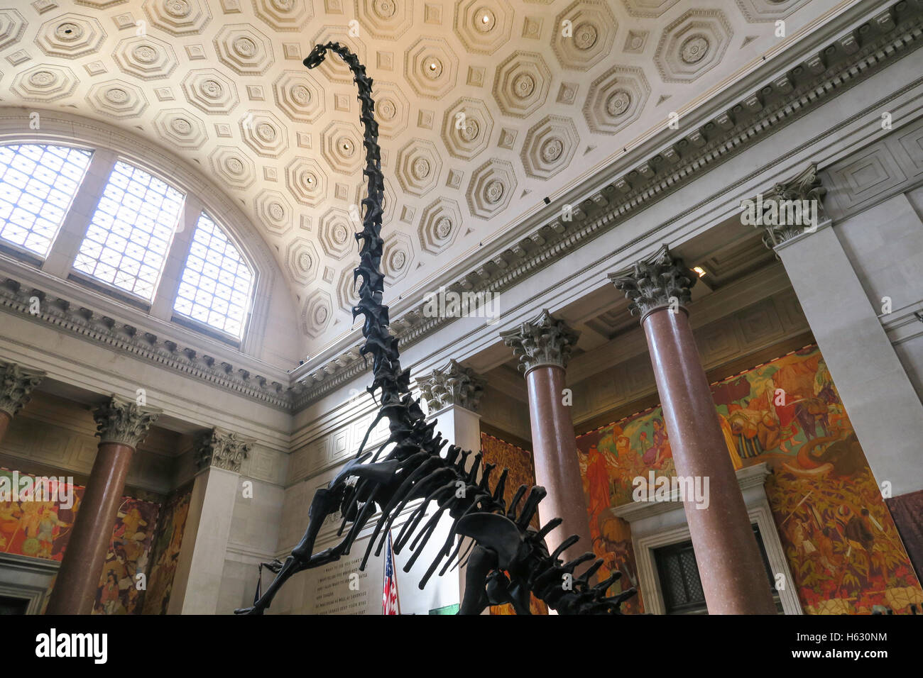 Entry Hall at the American Museum of Natural History, NYC Stock Photo ...