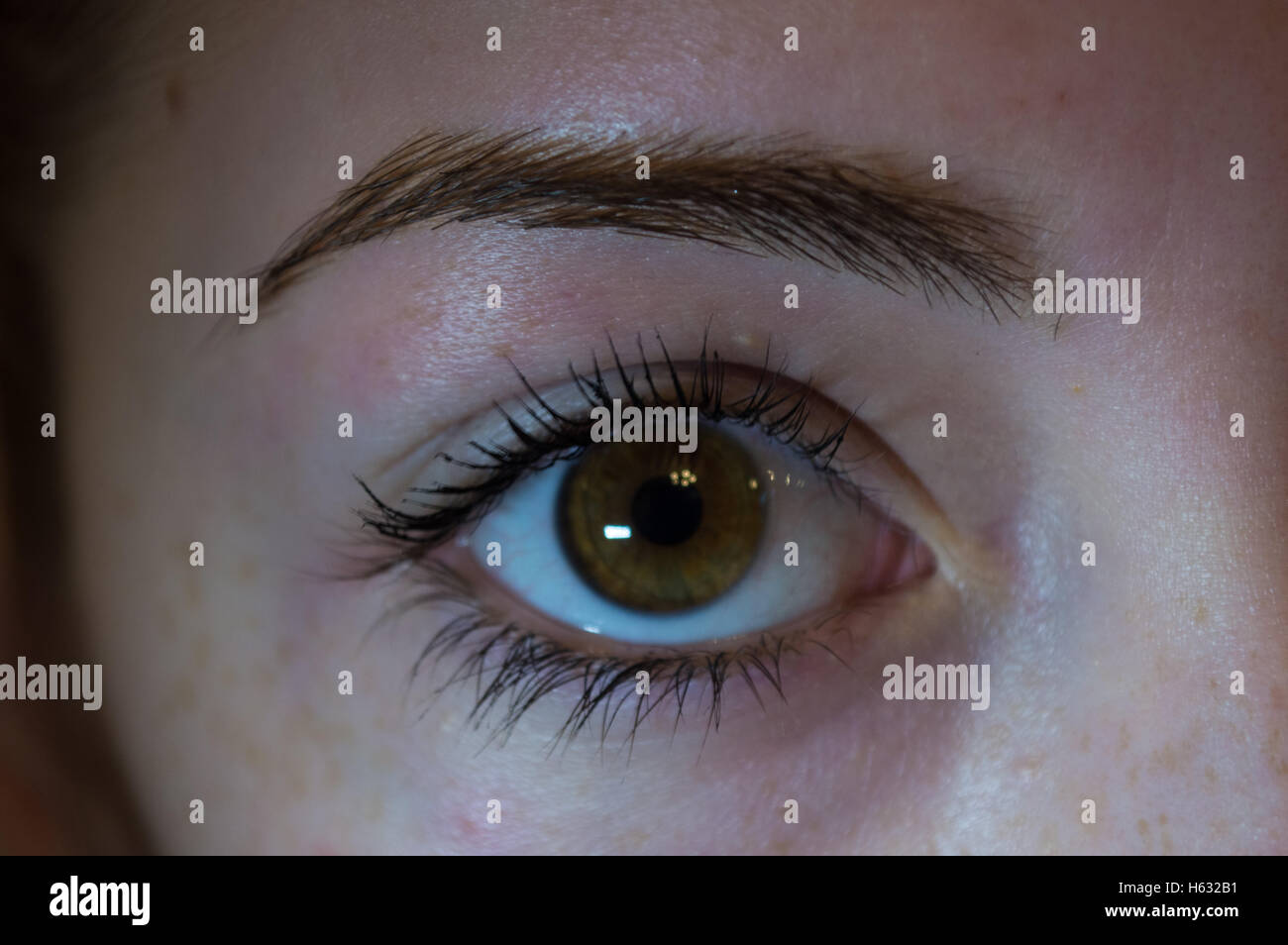 Eyelash shadow hi-res stock photography and images - Alamy