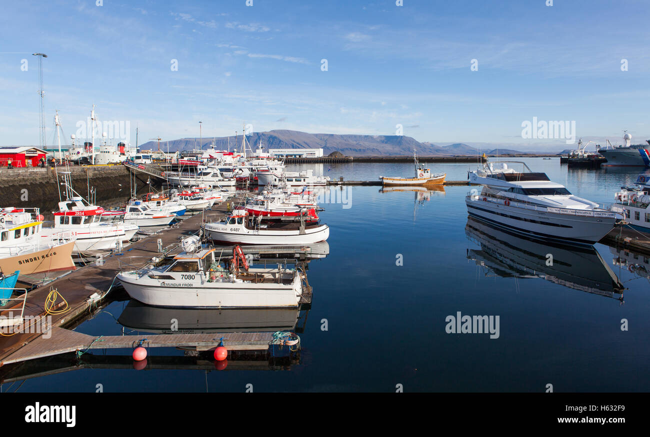 Reyjkavik iceland hi-res stock photography and images - Alamy