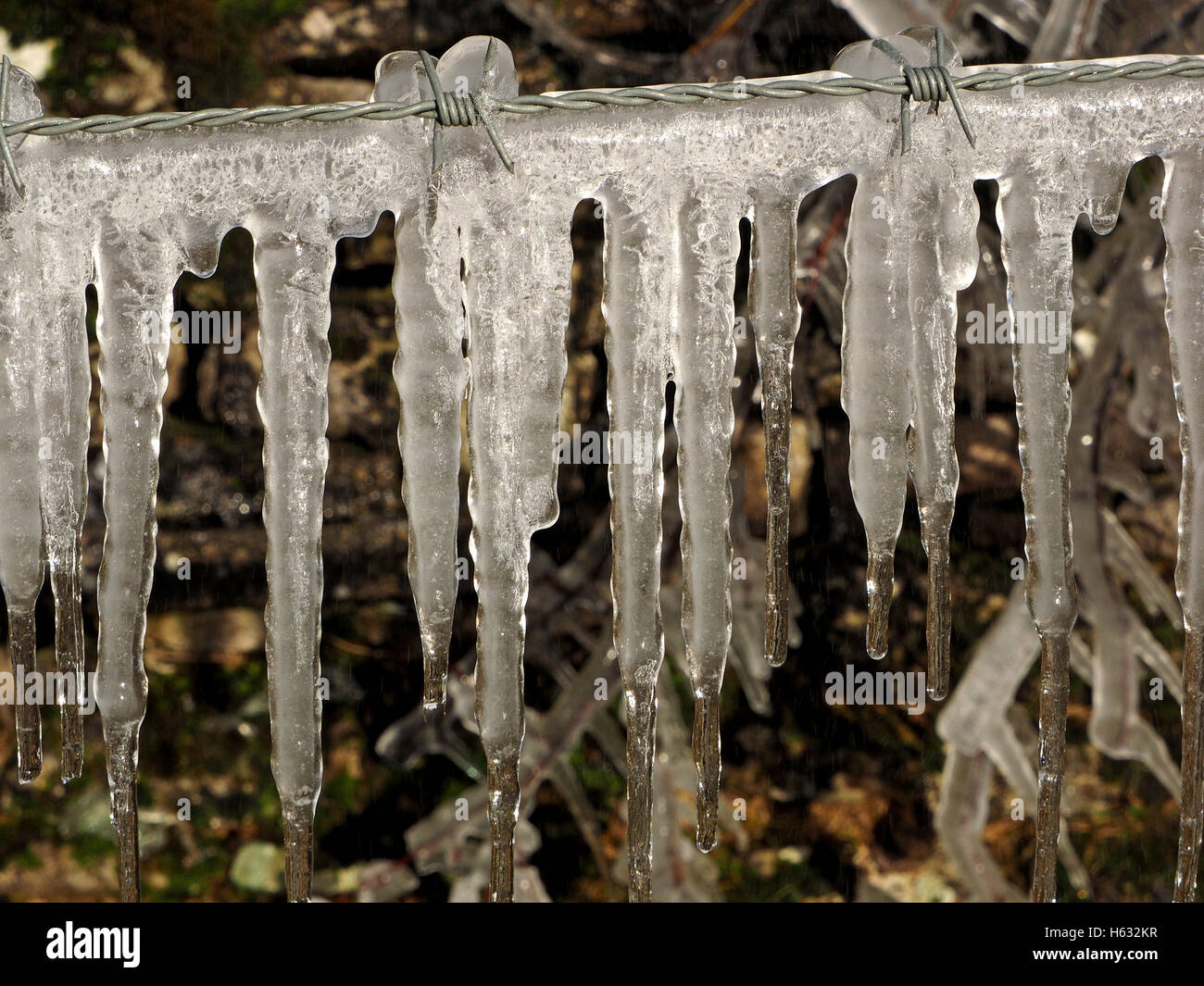 Wintry icicles hi-res stock photography and images - Alamy