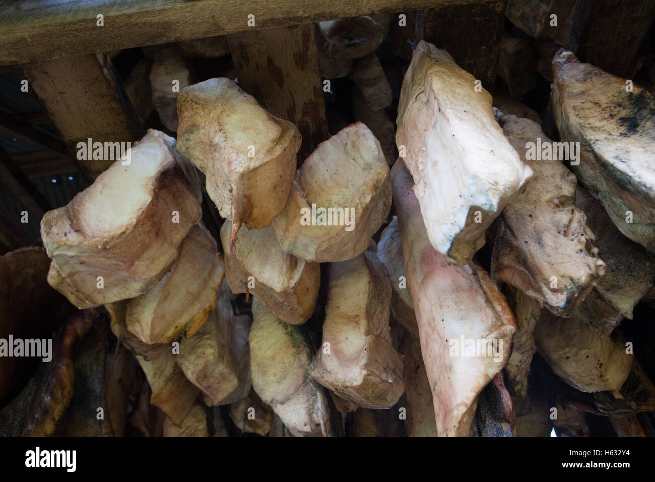 Hakarl, rotten shark meat, Iceland Stock Photo - Alamy
