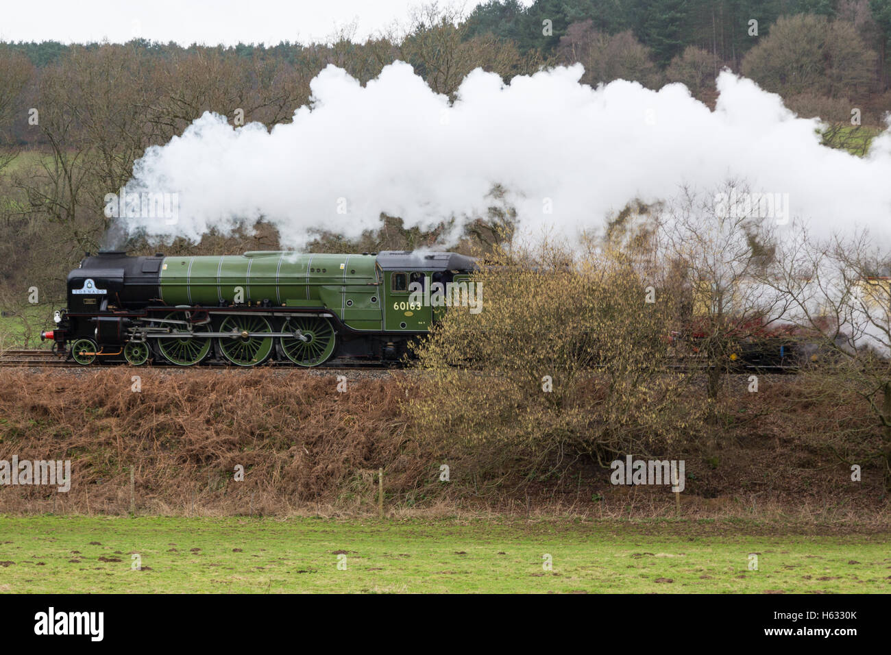 Tornado Steam Locomotive on circular Surrey Hills route Stock Photo - Alamy