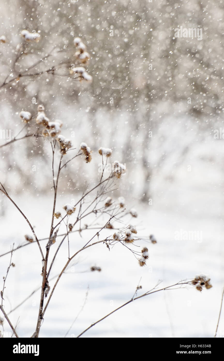 it's snowing outside the city Stock Photo - Alamy