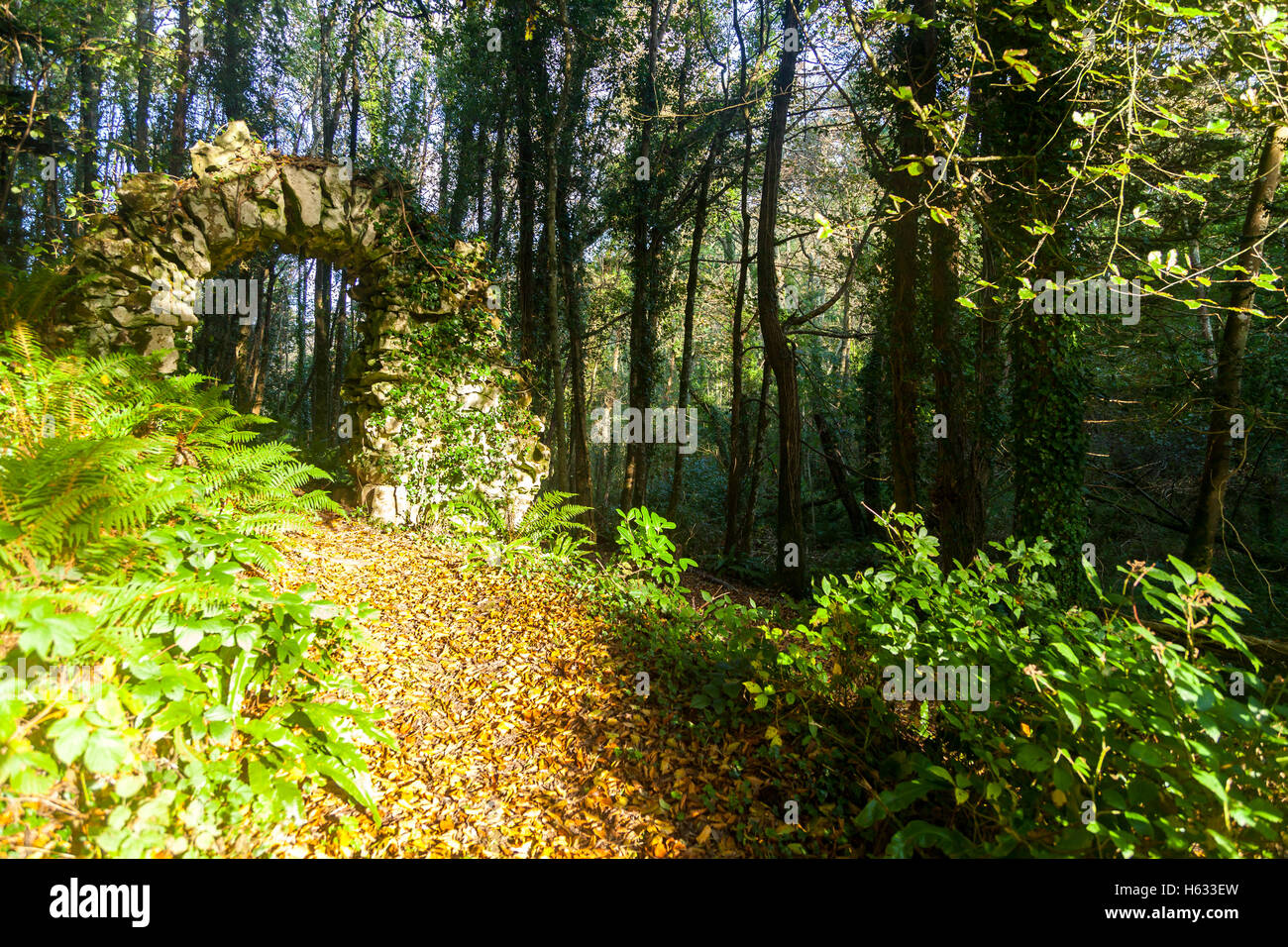 Old stone arch in the woods, Stackpole, Pembrokeshire, Wales, UK Stock ...