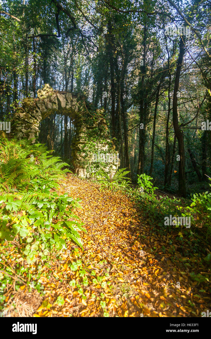 Old stone arch in the woods, Stackpole, Pembrokeshire, Wales, UK Stock ...