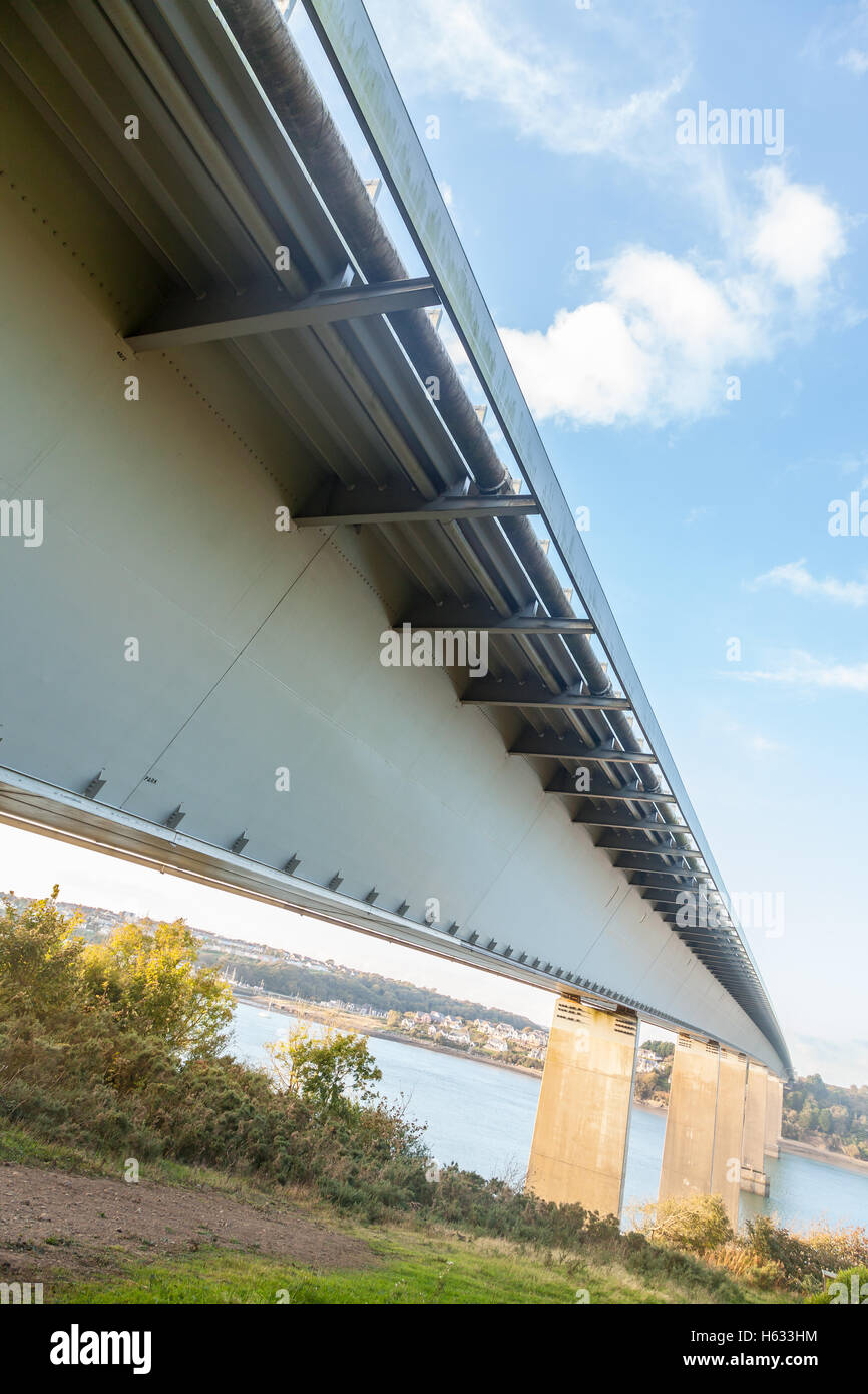 Cleddau Bridge in Pembrokeshire Stock Photo - Alamy