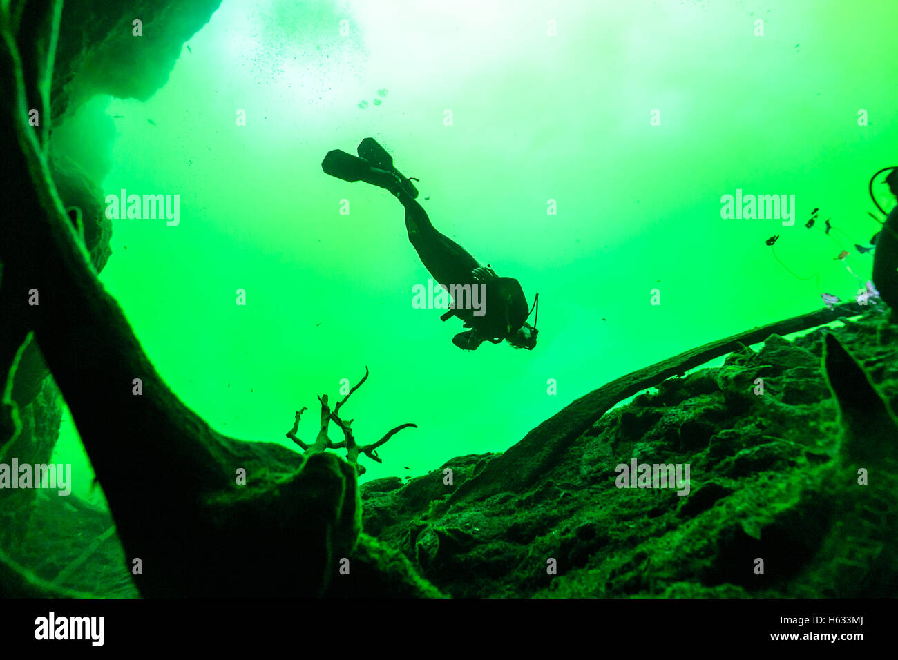scuba diving,cenote diving,underwater cave,cavern diving,cave diving ...