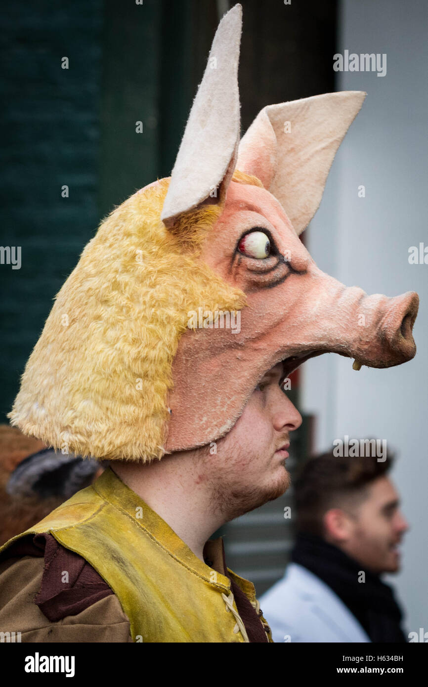 Procession Pig High Resolution Stock Photography and Images - Alamy
