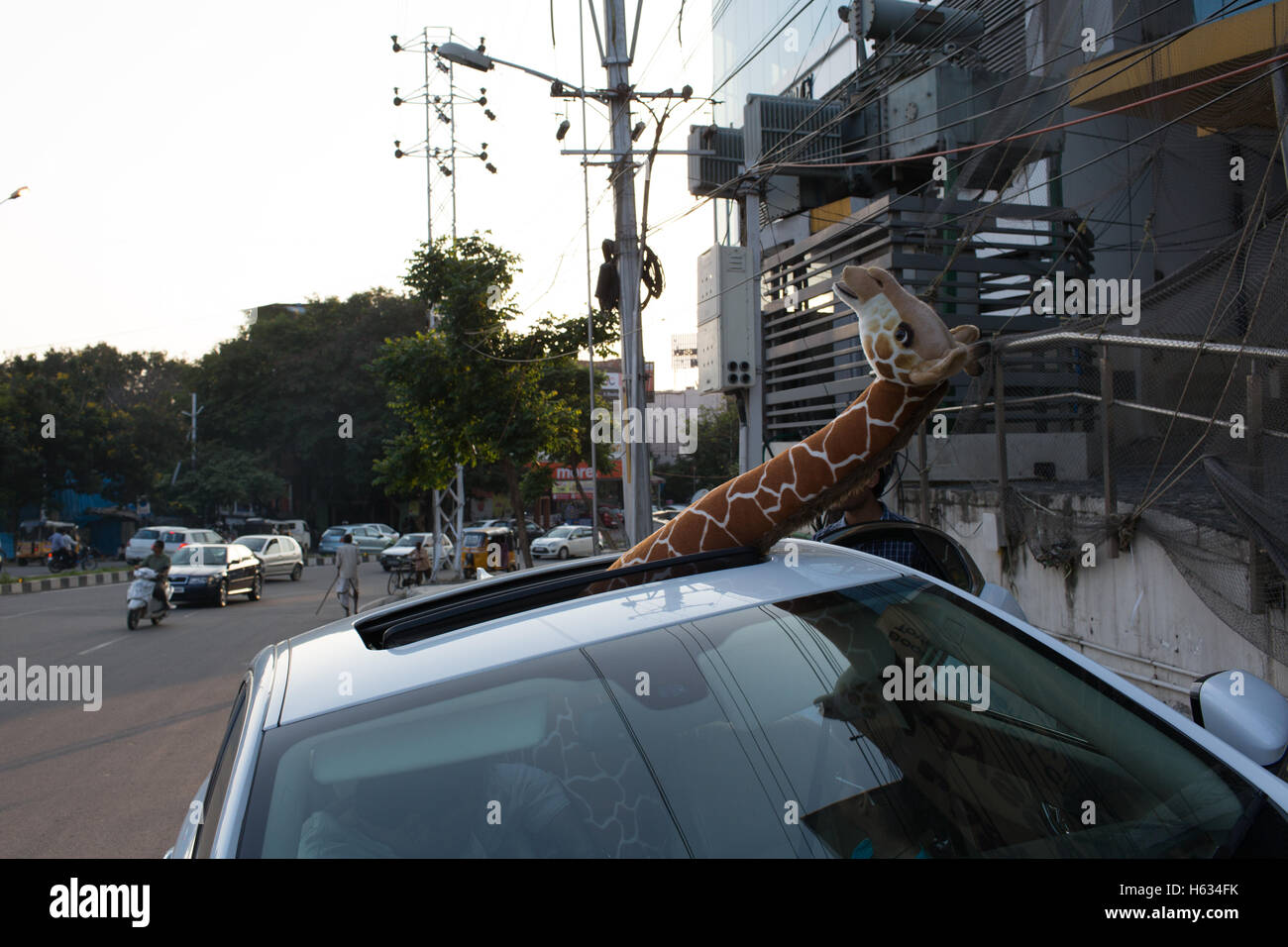 Toy giraffe hi-res stock photography and images - Alamy