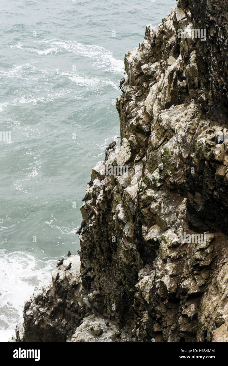 Cliffs in Cerro Azul. Pacific Ocean. Peru Stock Photo - Alamy