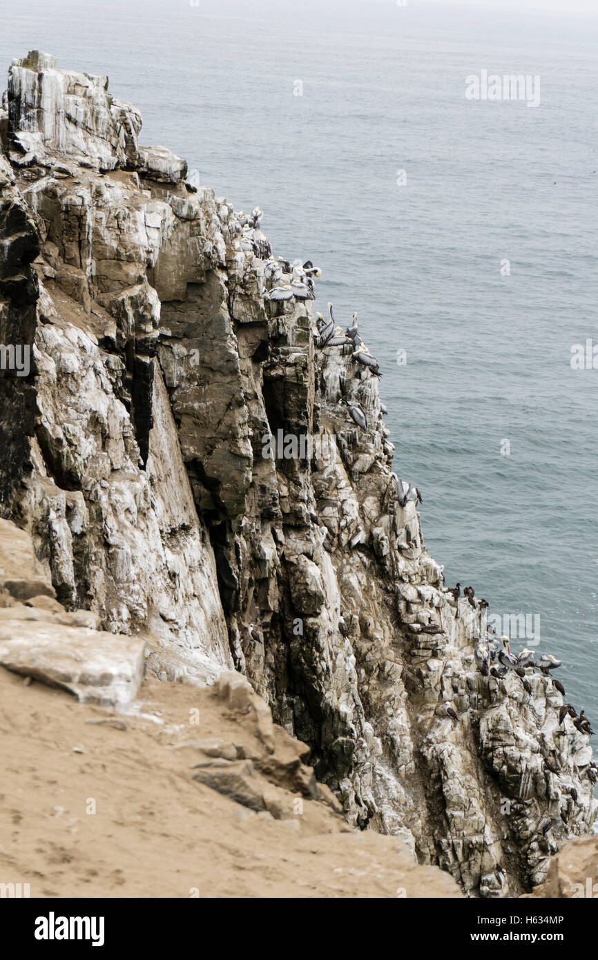 Cliffs in Cerro Azul. Pacific Ocean. Peru Stock Photo - Alamy