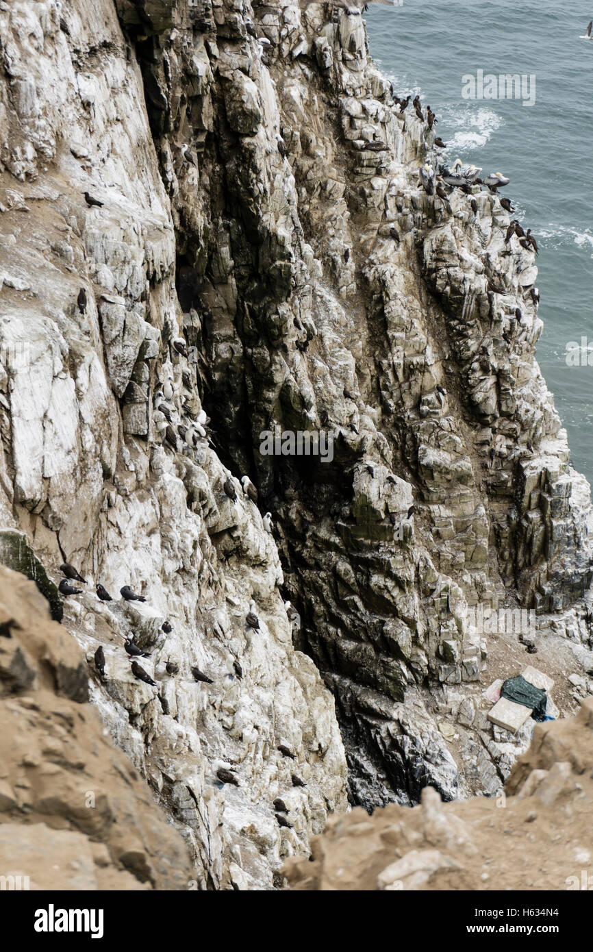 Cliffs in Cerro Azul. Pacific Ocean. Peru Stock Photo - Alamy
