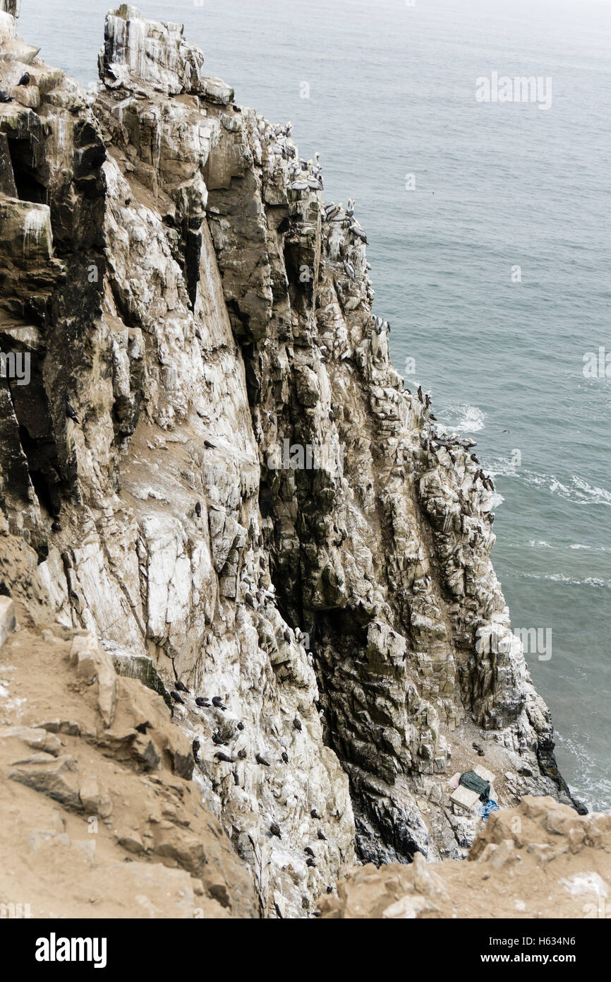 Cliffs in Cerro Azul. Pacific Ocean. Peru Stock Photo - Alamy