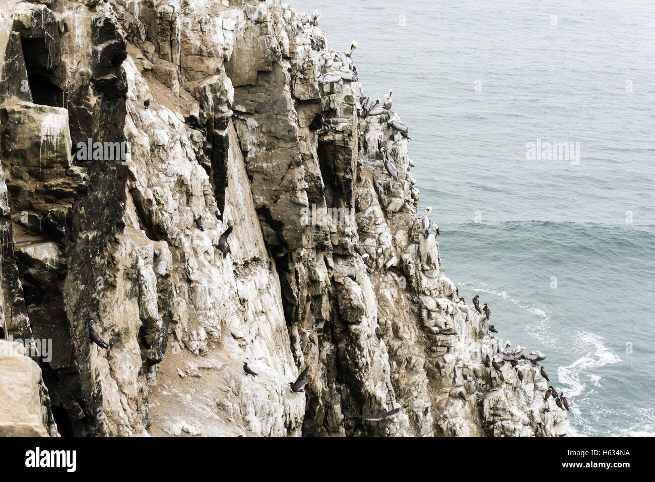 Cliffs in Cerro Azul. Pacific Ocean. Peru Stock Photo - Alamy