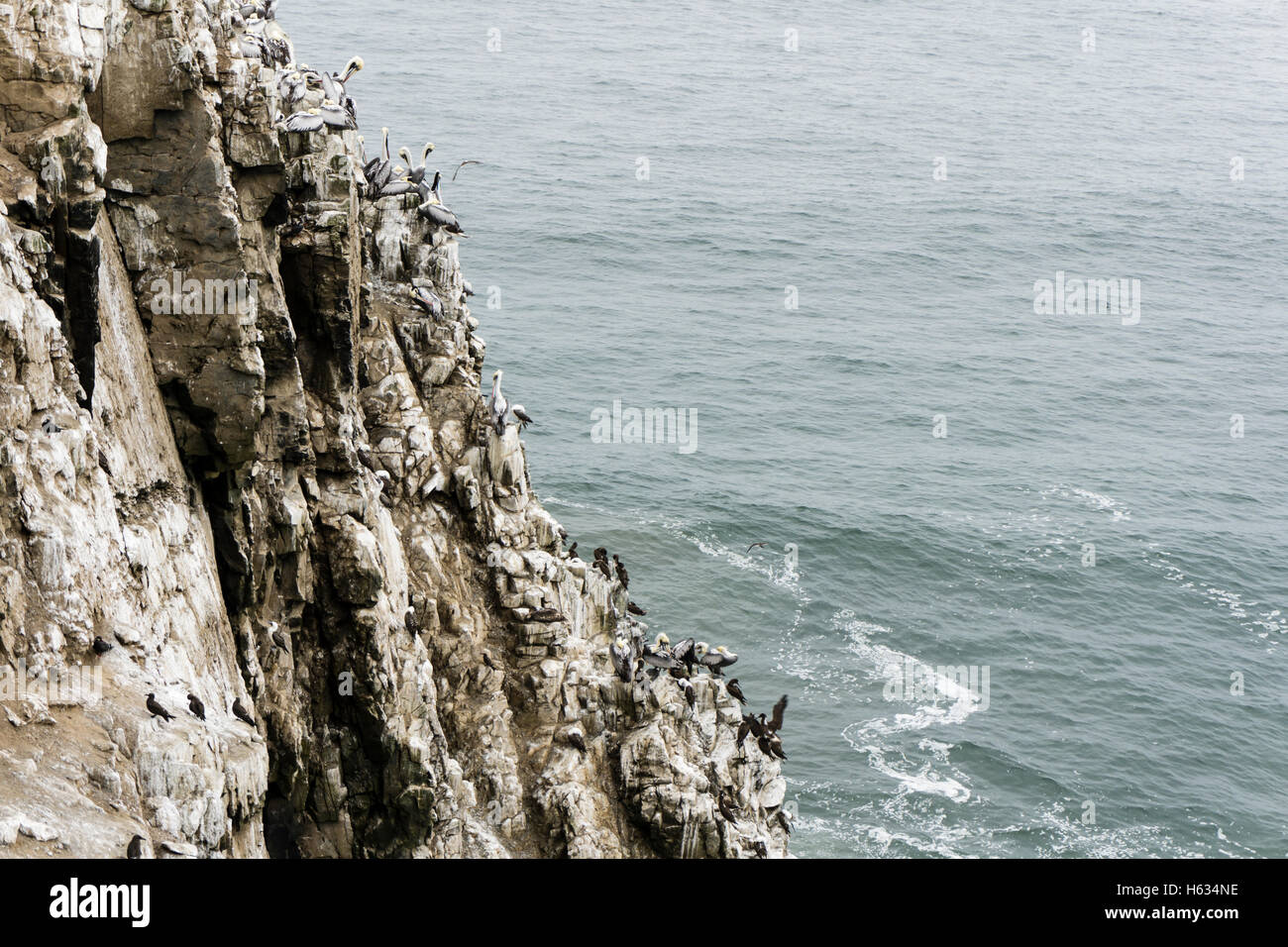 Cliffs in Cerro Azul. Pacific Ocean. Peru Stock Photo - Alamy