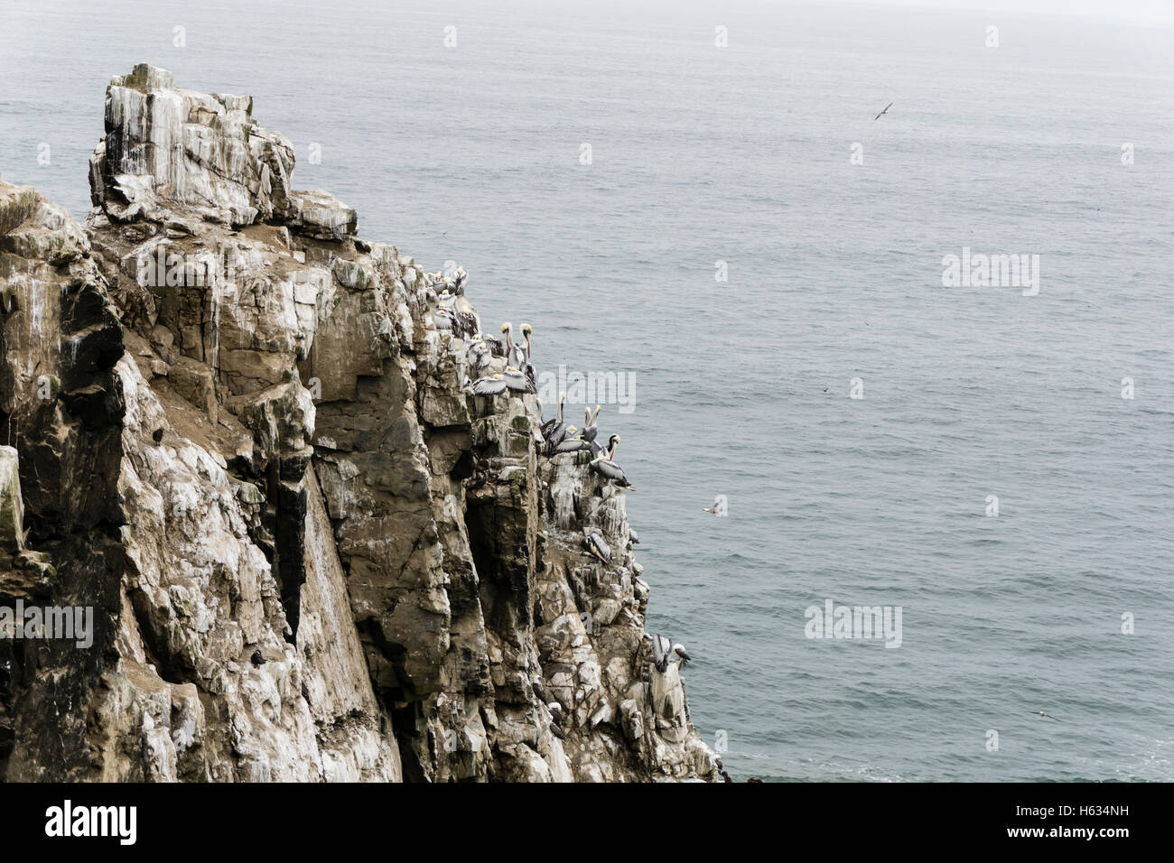 Cliffs in Cerro Azul. Pacific Ocean. Peru Stock Photo - Alamy
