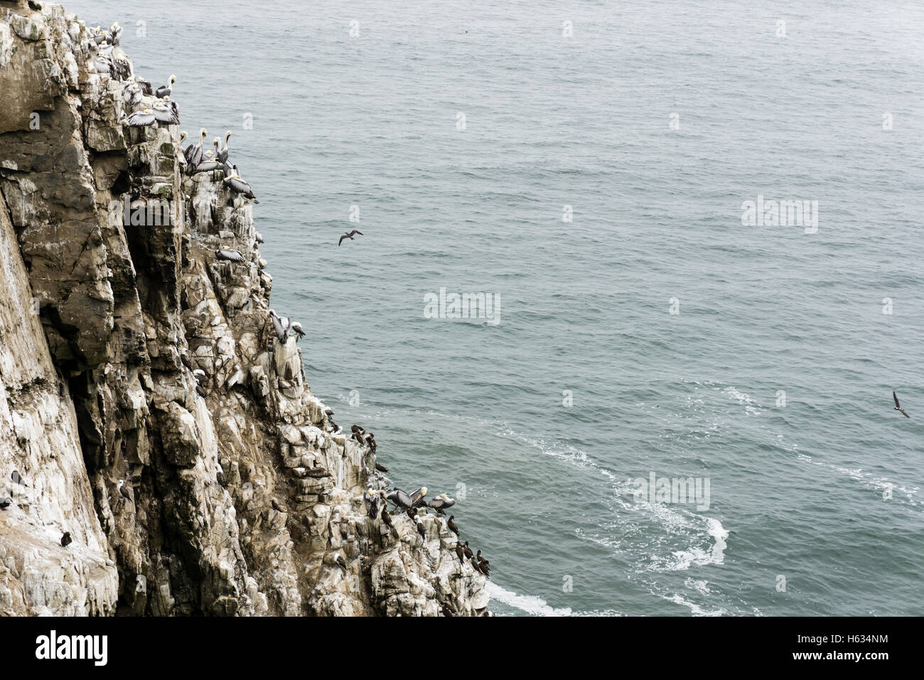 Cliffs in Cerro Azul. Pacific Ocean. Peru Stock Photo - Alamy