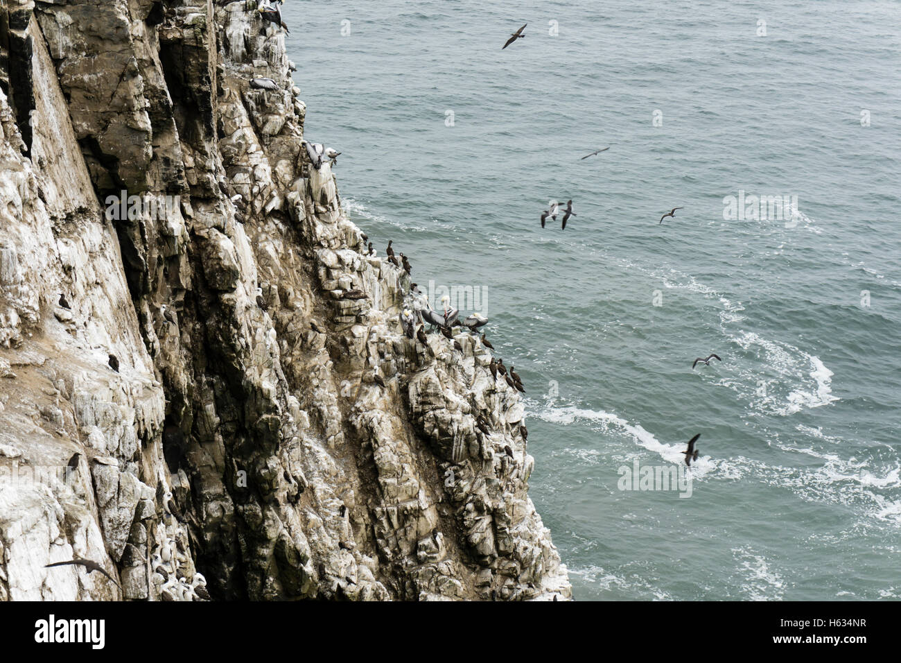 Cliffs in Cerro Azul. Pacific Ocean. Peru Stock Photo - Alamy