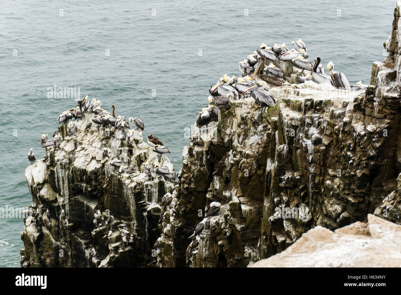 Cliffs in Cerro Azul. Pacific Ocean. Peru Stock Photo - Alamy
