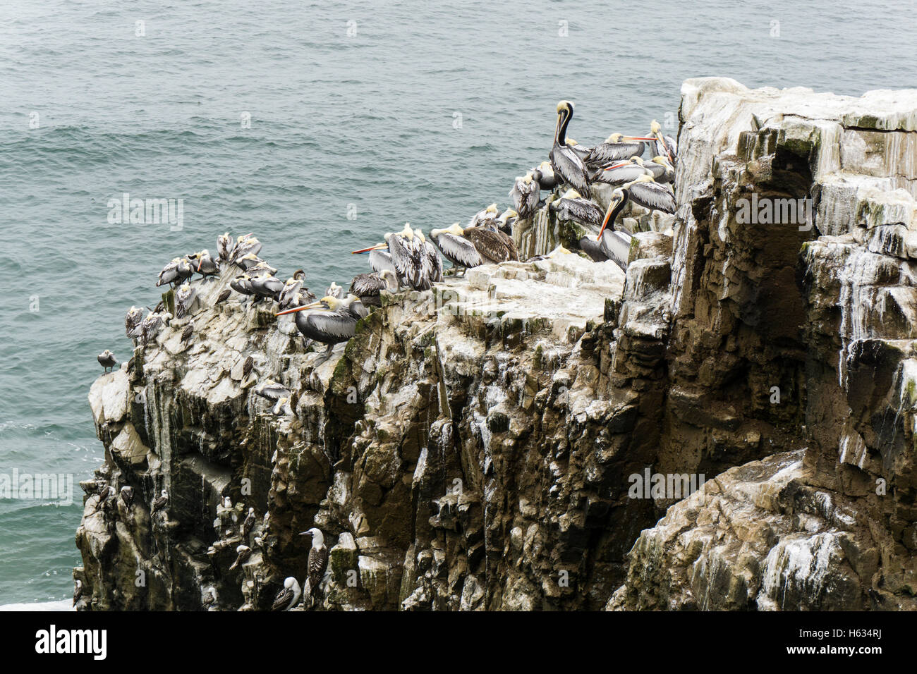 Cliffs in Cerro Azul. Pacific Ocean. Peru Stock Photo - Alamy