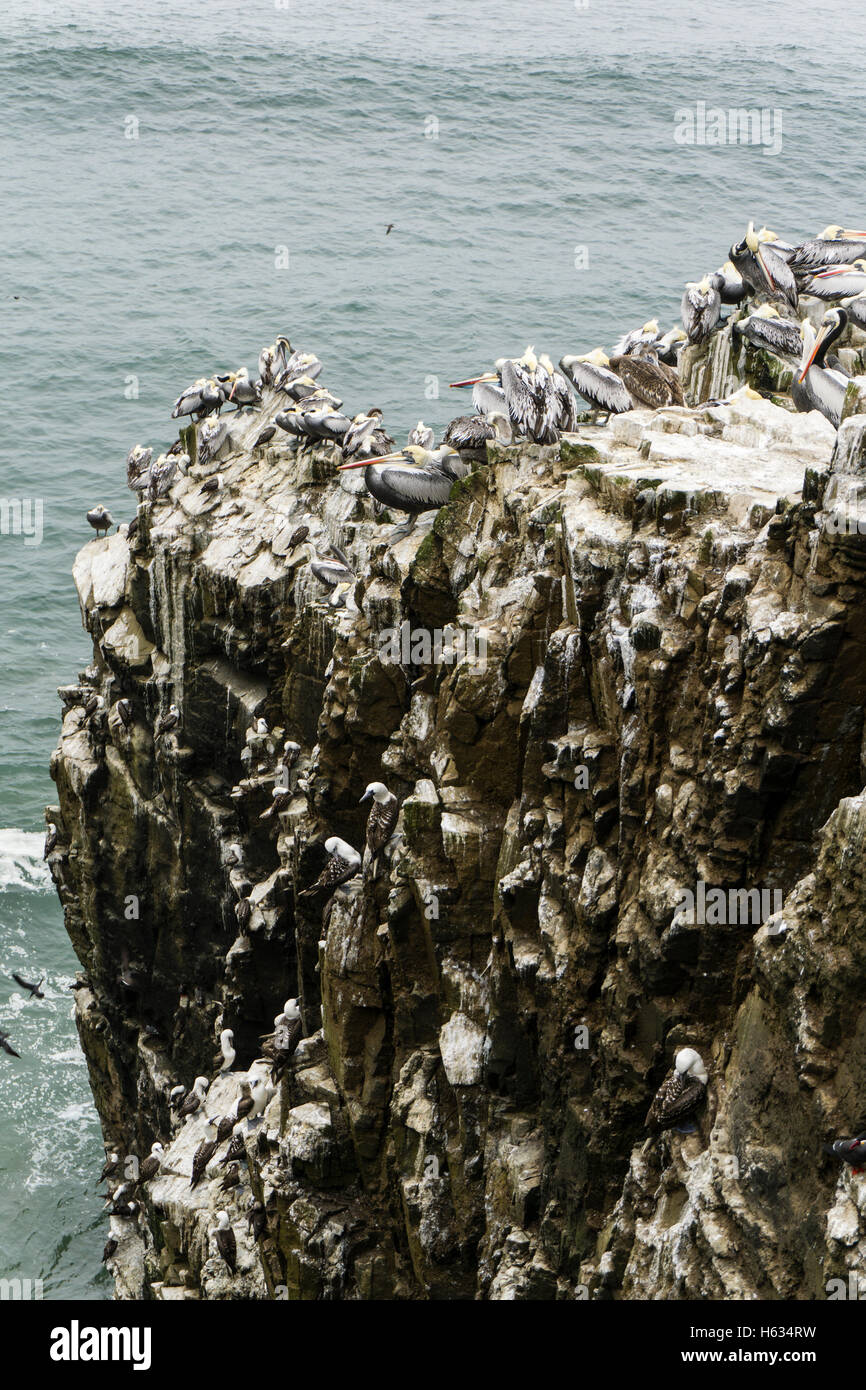 Cliffs in Cerro Azul. Pacific Ocean. Peru Stock Photo - Alamy