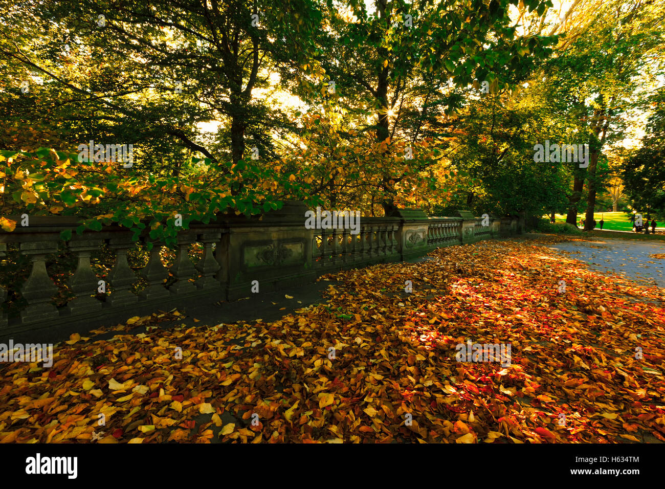 New York City Central Park in the Fall Stock Photo - Alamy