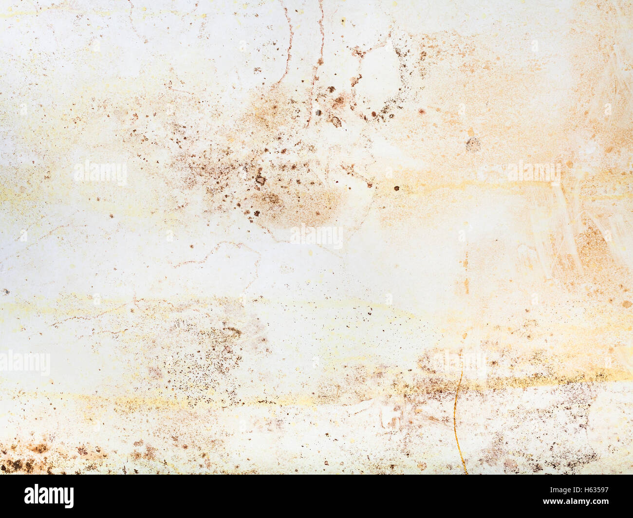 Mold spots hi-res stock photography and images - Alamy