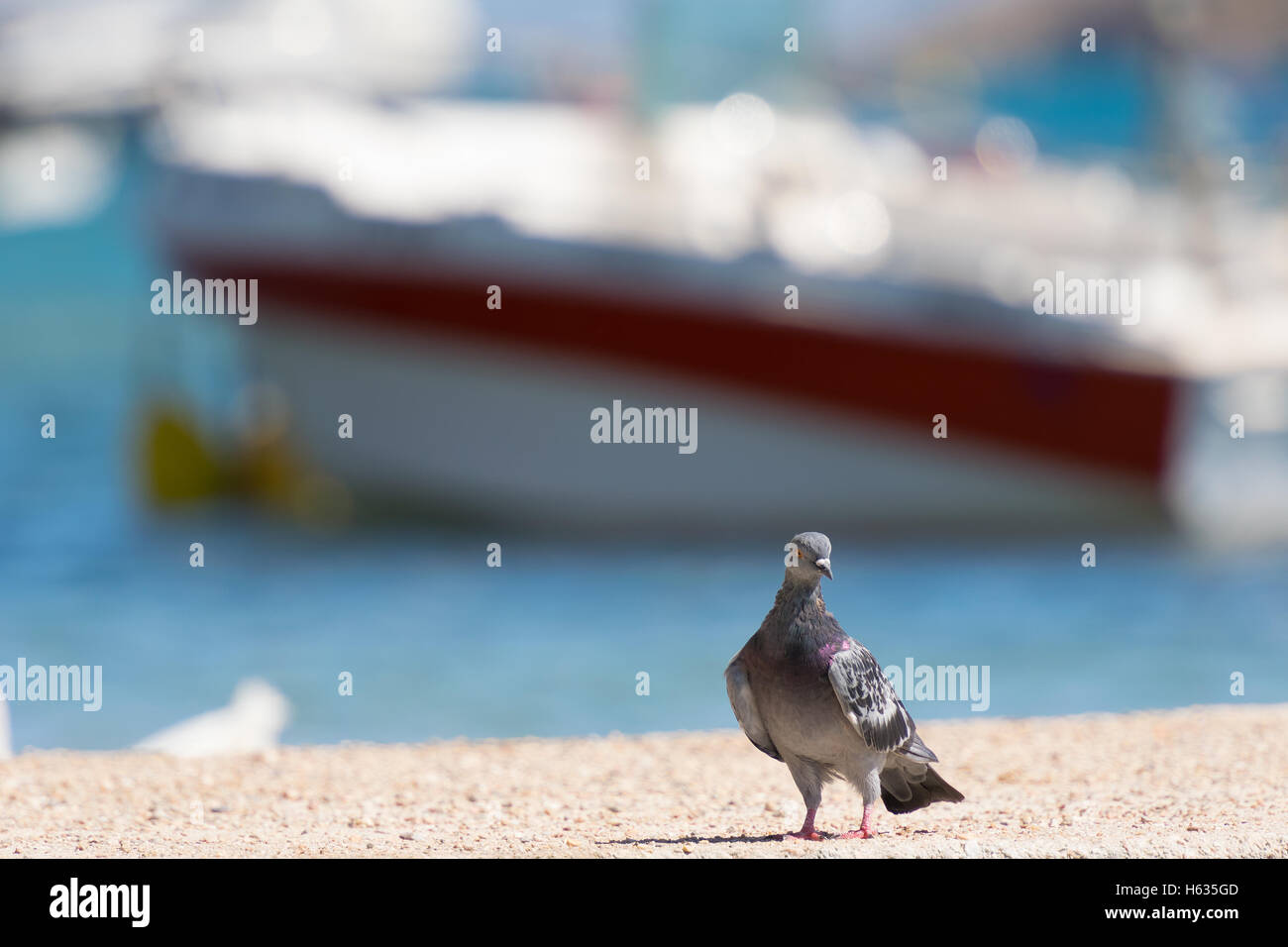 Port of porto rafti hi-res stock photography and images - Alamy