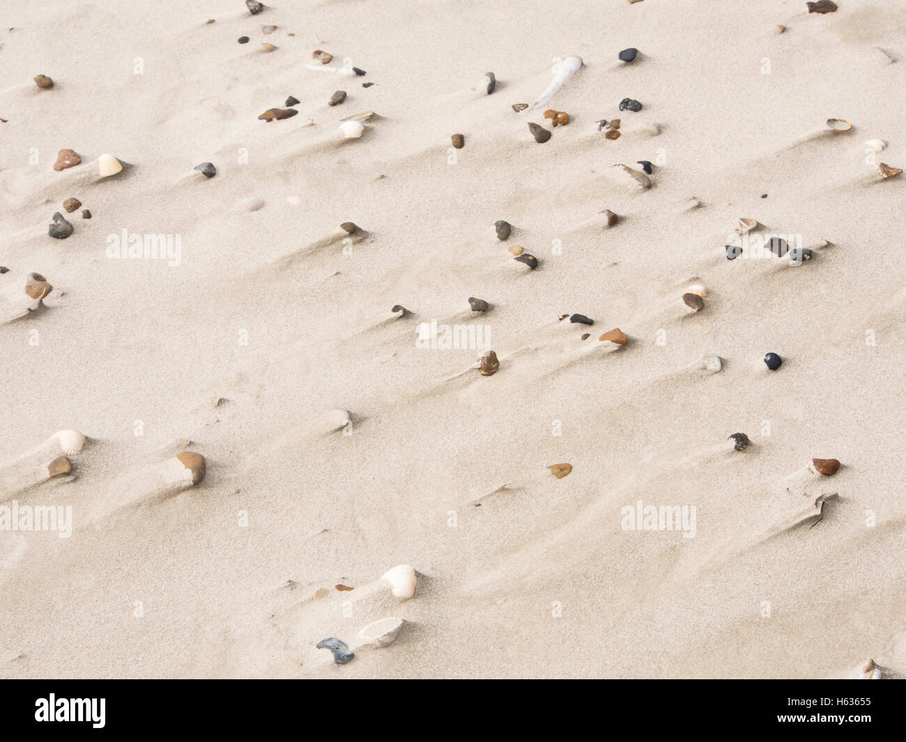 The Danish west coast is dominated by mile long beaches with fine white ...