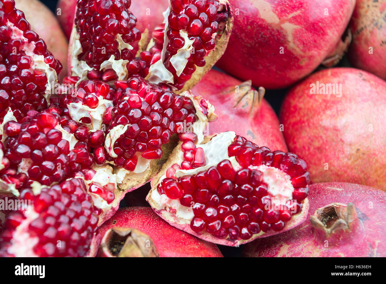 Reveal seeds hi-res stock photography and images - Alamy