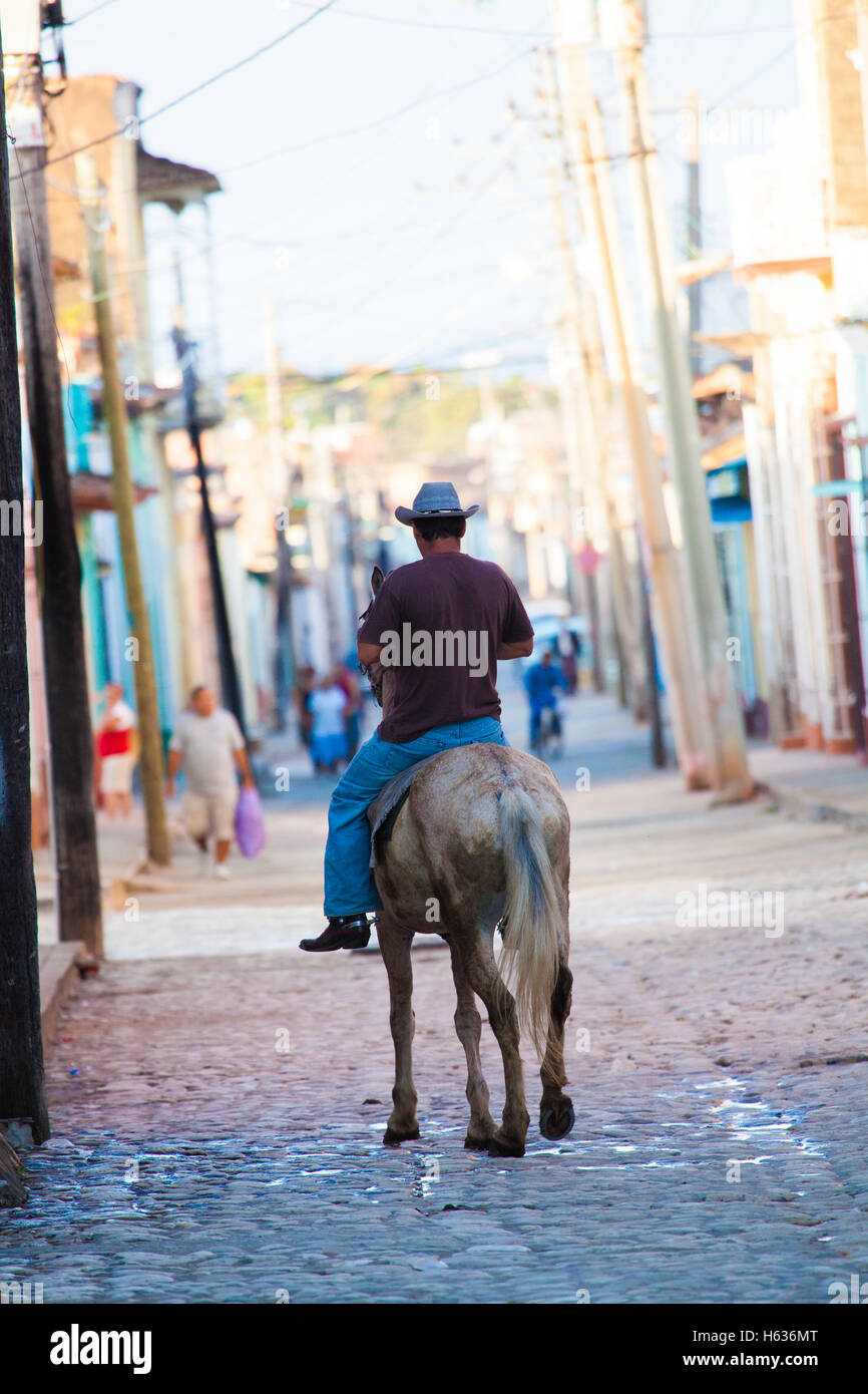 Trinidad cuban horses hi-res stock photography and images - Alamy