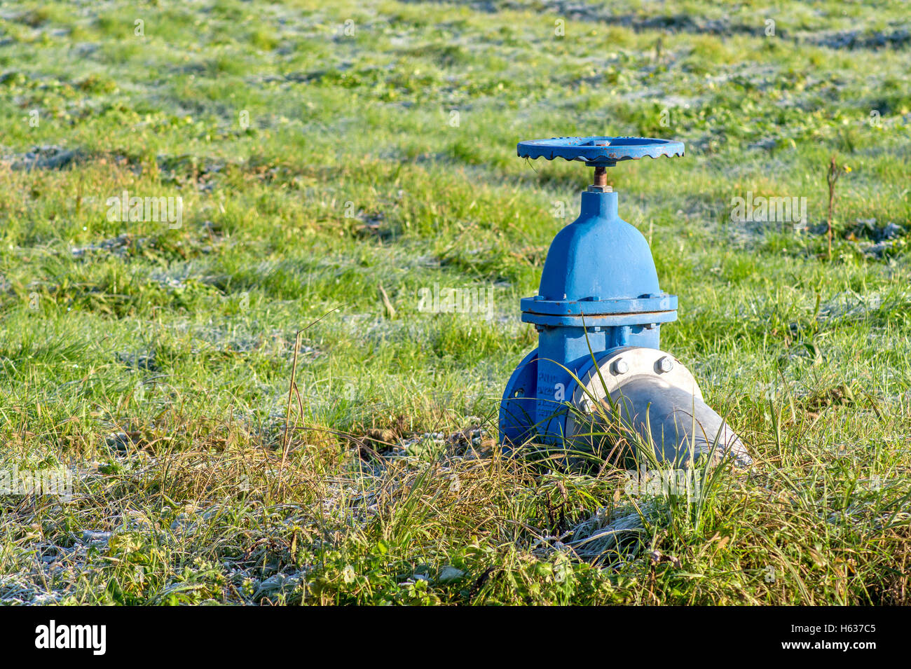 Oil pipeline valve hi-res stock photography and images - Alamy