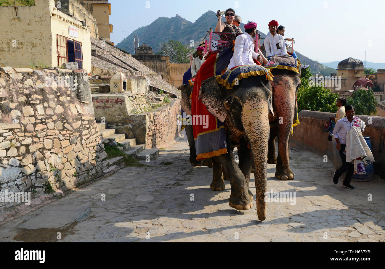 Mahout riding decorated Indian Elephant at Amer fort Stock Photo - Alamy
