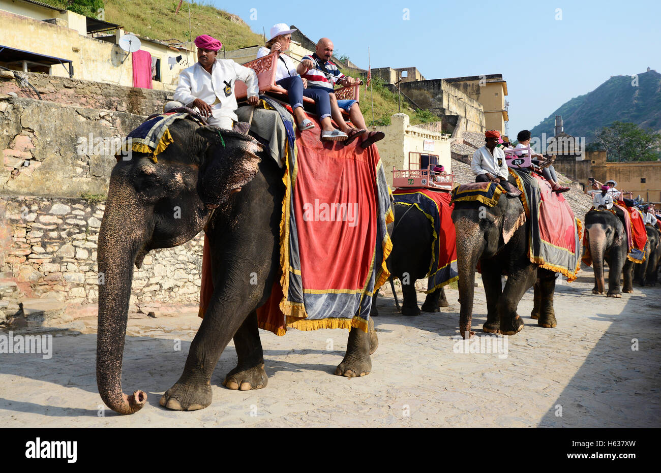 Mahout riding decorated Indian Elephant at Amer fort Stock Photo - Alamy