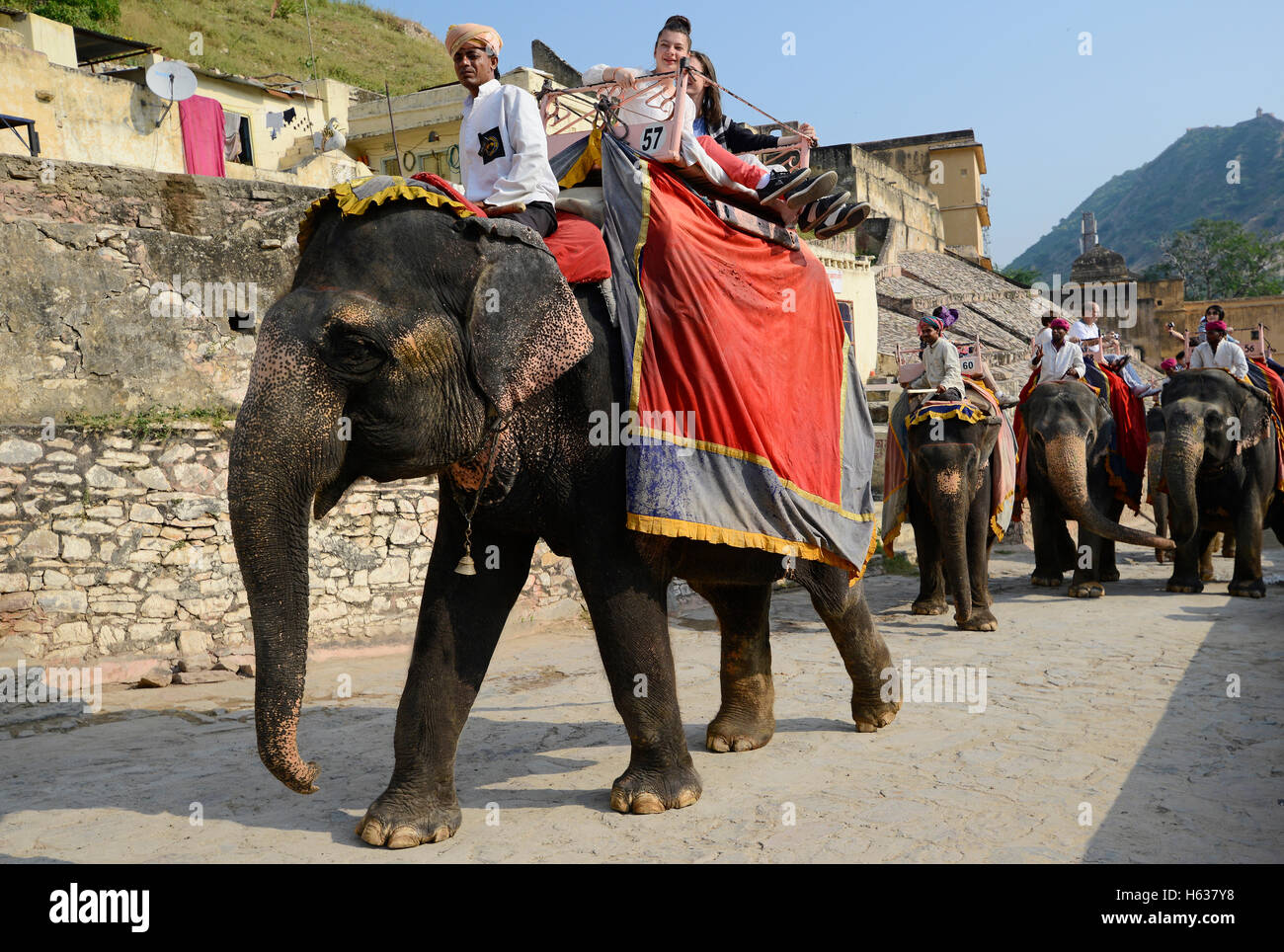 Mahout riding decorated Indian Elephant at Amer fort Stock Photo - Alamy
