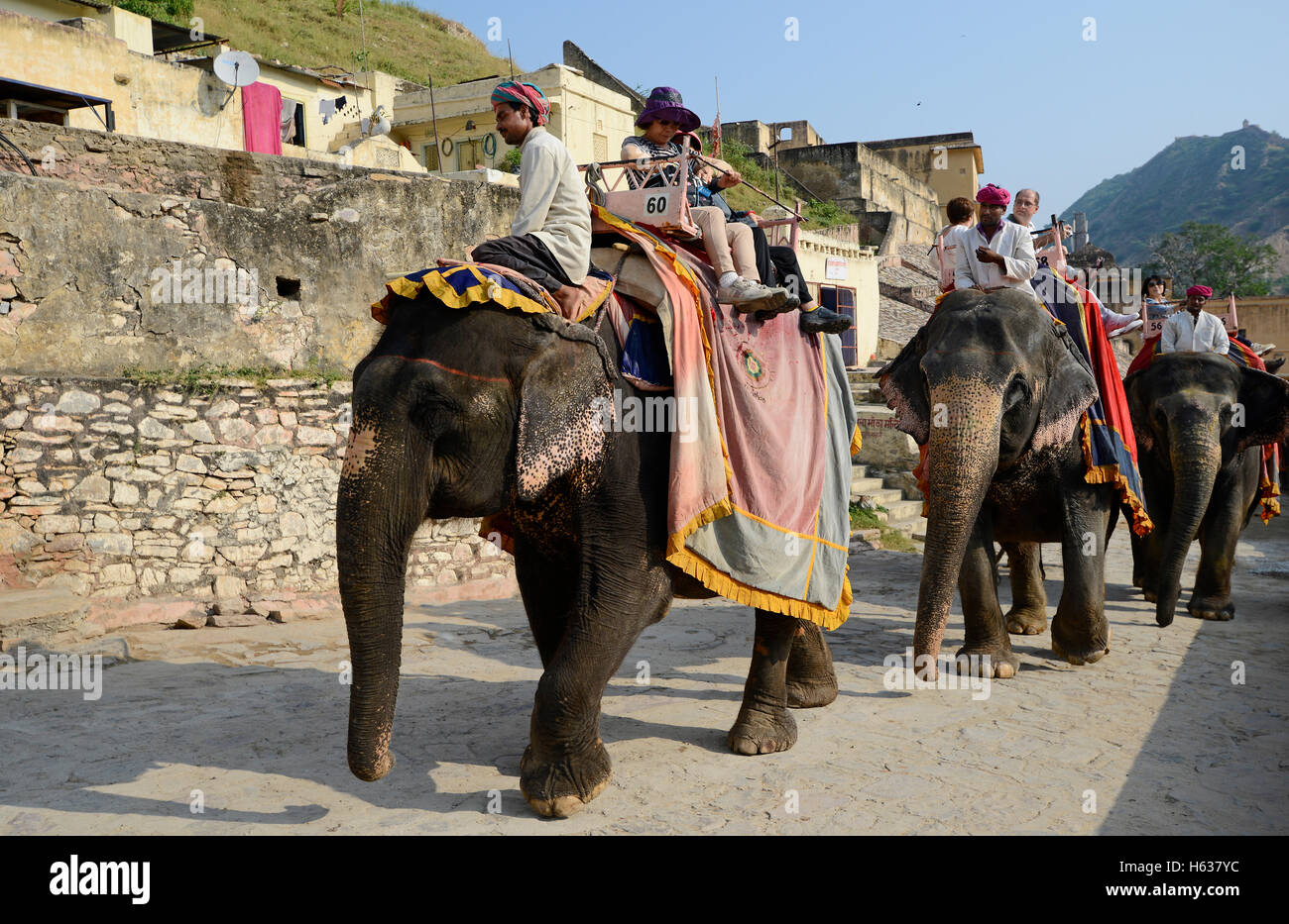 Mahout riding decorated Indian Elephant at Amer fort Stock Photo - Alamy