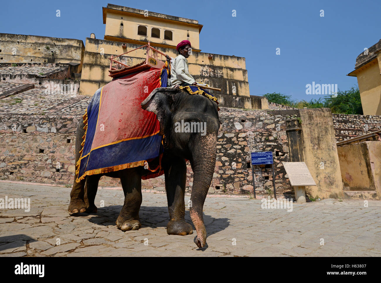 Mahout riding decorated Indian Elephant at Amer fort Stock Photo - Alamy