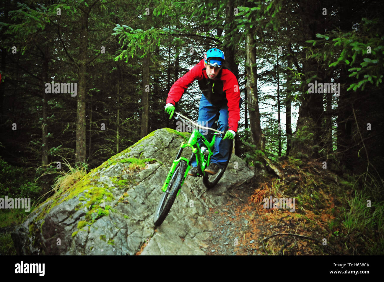 Davagh Forest Trail, Northern Ireland. Editorial use only Stock Photo ...