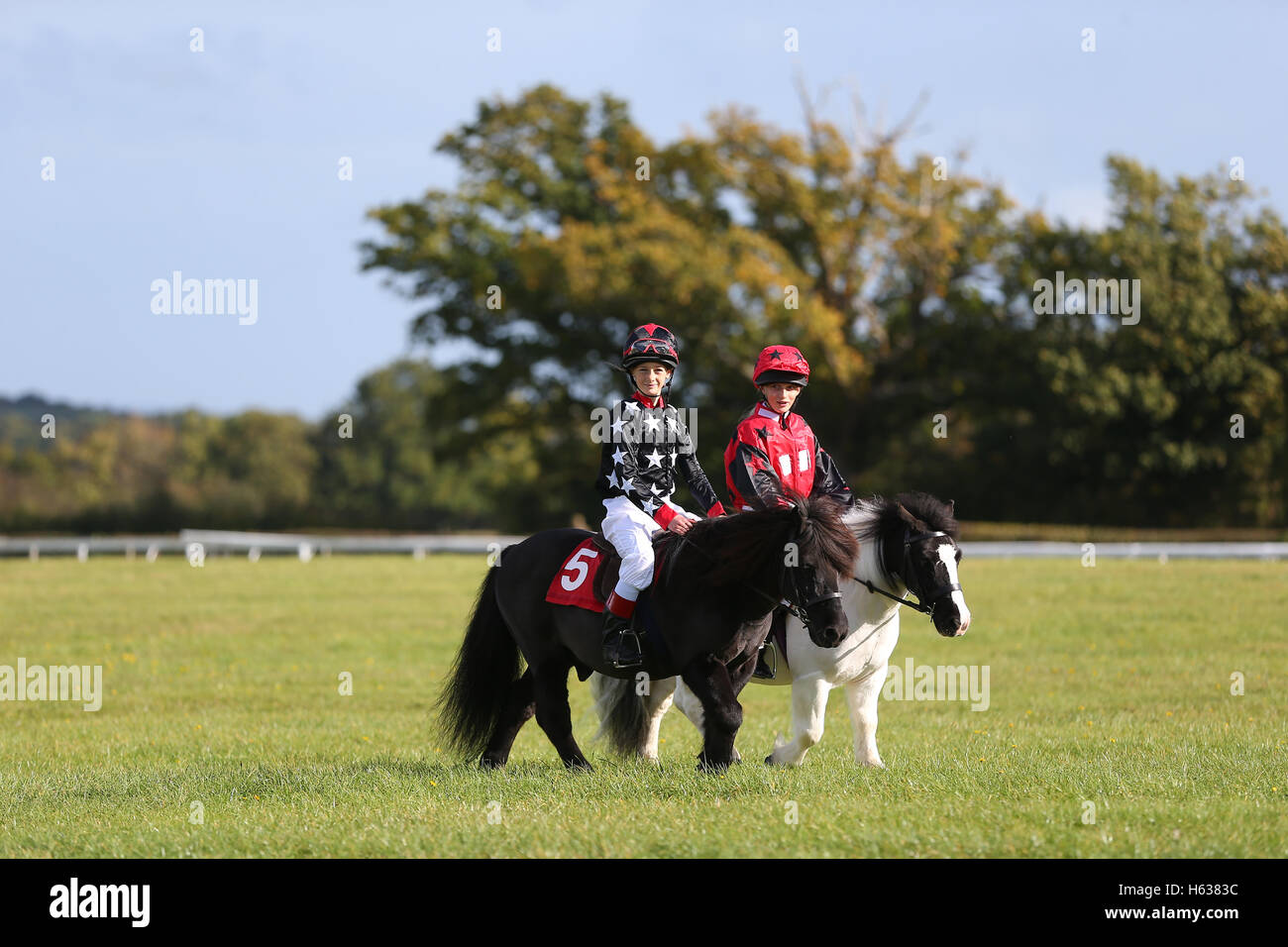Children riding Shetland Ponies before a race at Plumpton Racecourse ...