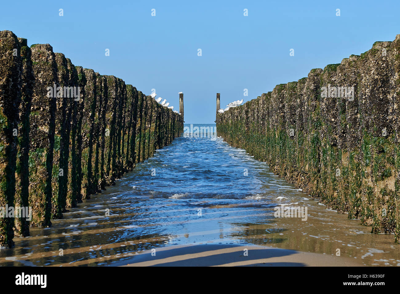 Between the two rows of poles of the breakwater against clear blue sky ...