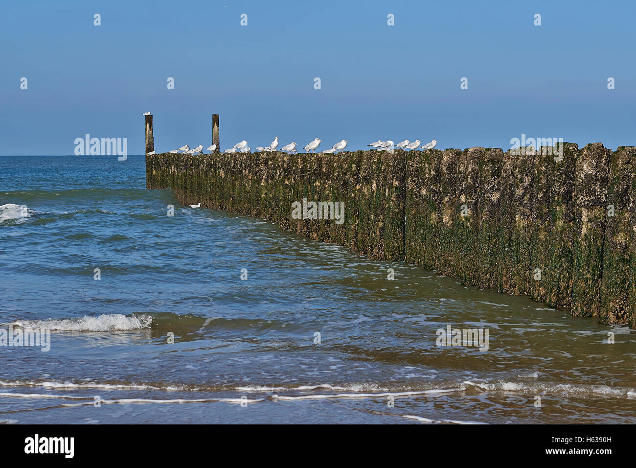 Rows of poles of breakwater against clear blue sky Stock Photo - Alamy