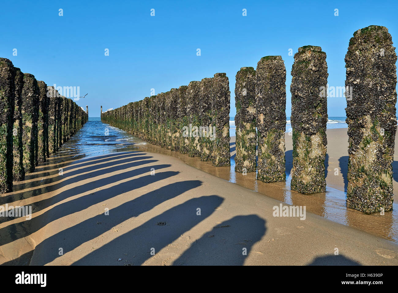 Between the two rows of poles of the breakwater against clear blue sky ...
