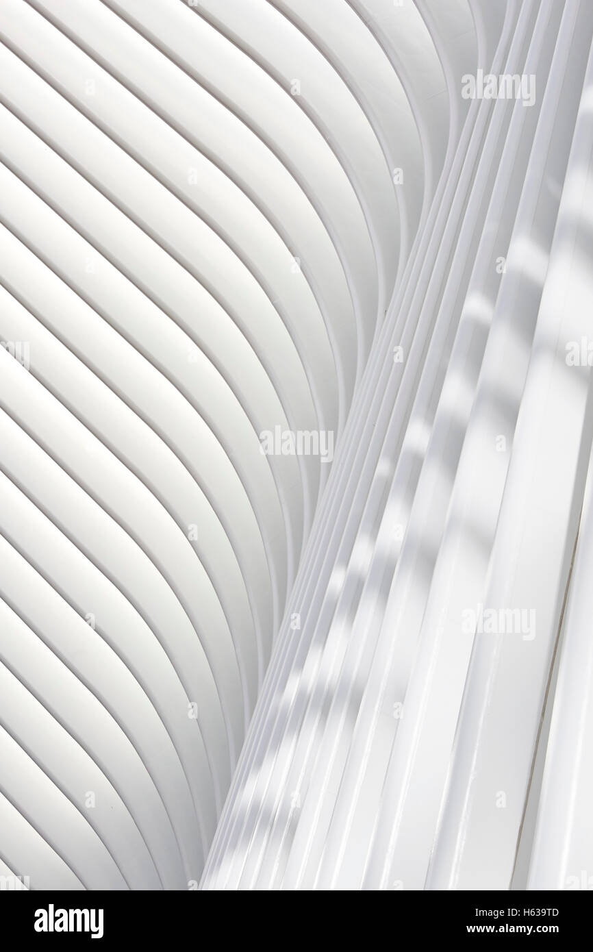 Sinuous detail of white steel rib facade. The Oculus, World Trade ...
