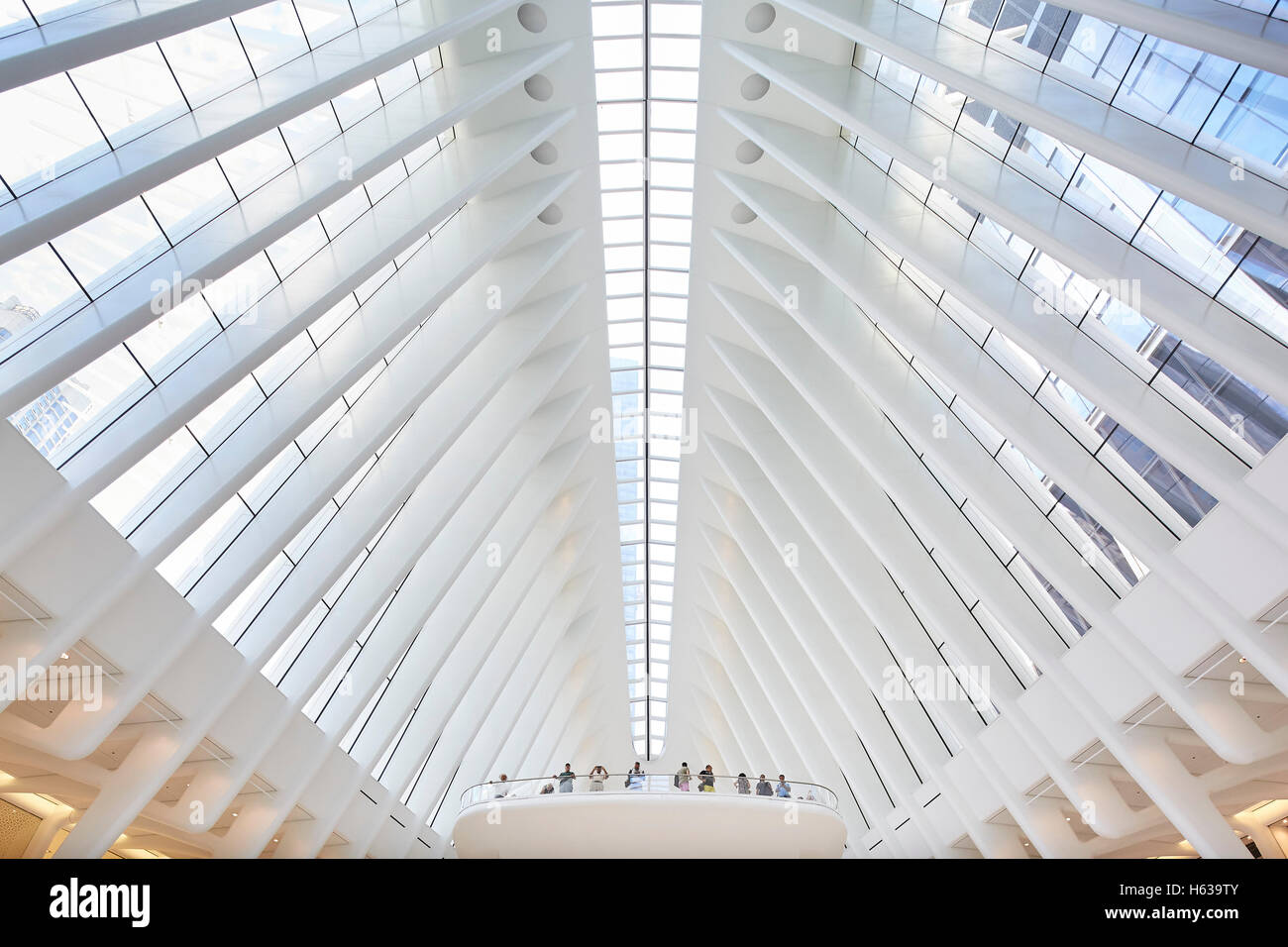 Sinuous detail of white steel rib facade. The Oculus, World Trade ...