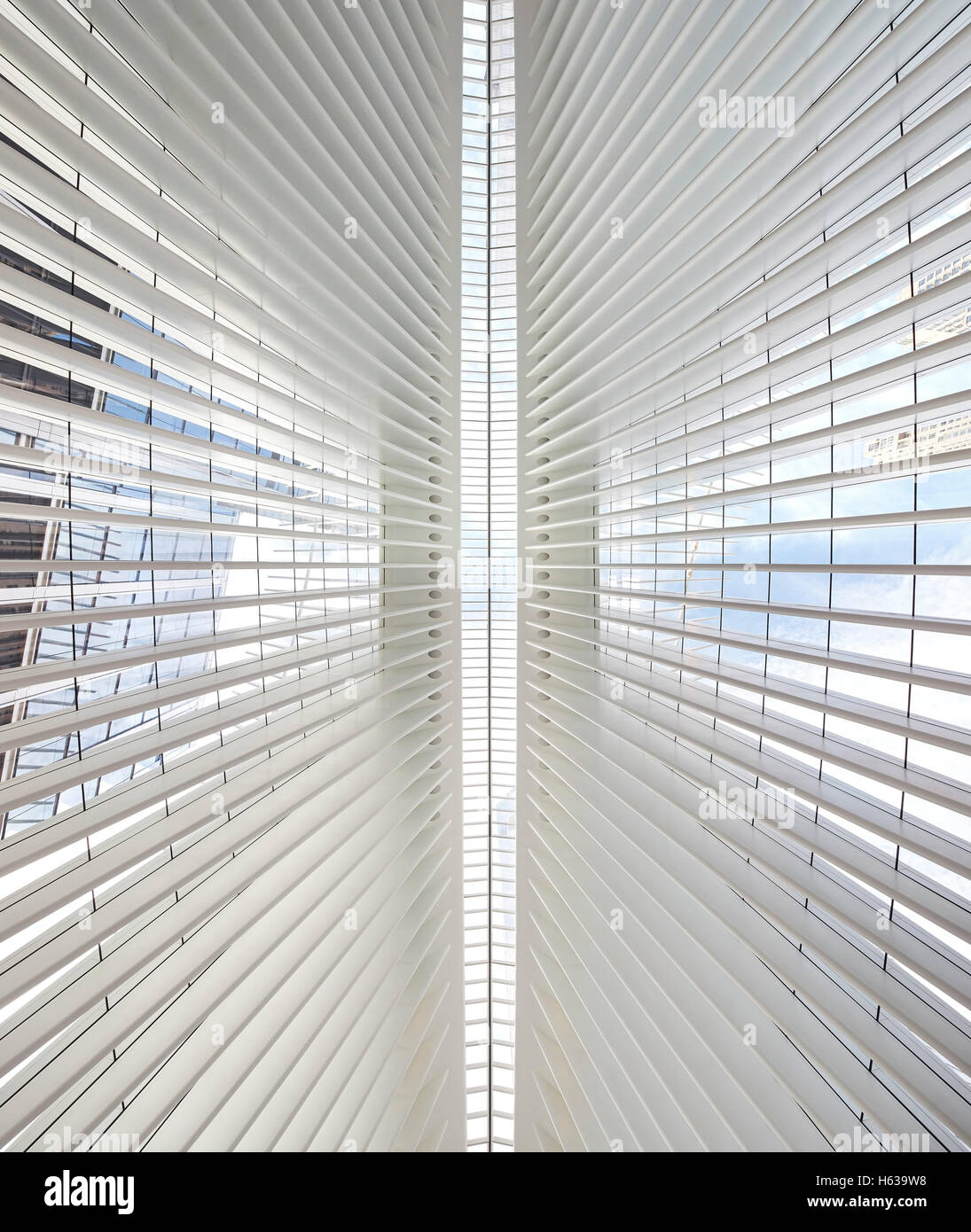 Abstract detail of white steel rib facade. The Oculus, World Trade ...