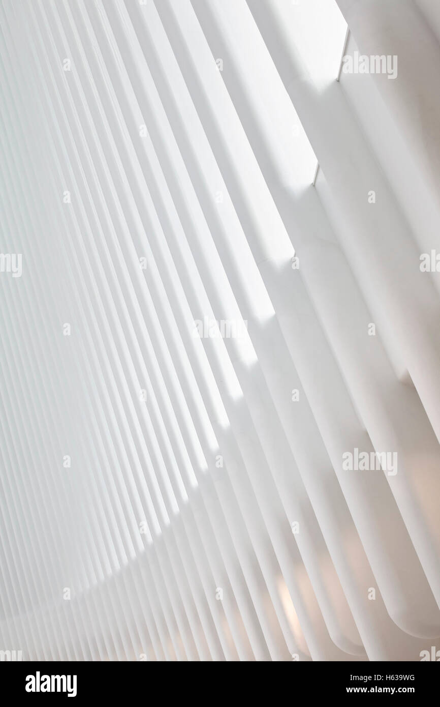 Sinuous detail of white steel rib facade. The Oculus, World Trade ...
