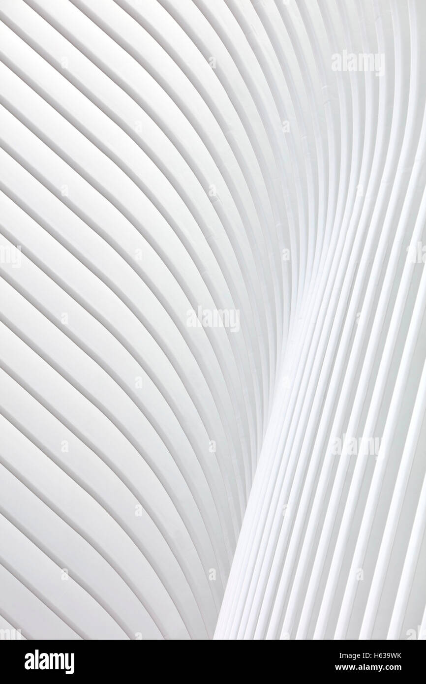 Sinuous detail of white steel rib facade. The Oculus, World Trade ...
